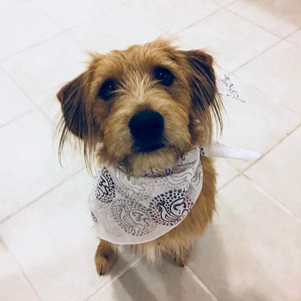 Babies, Kids and Pets | FarmSudz, LLC